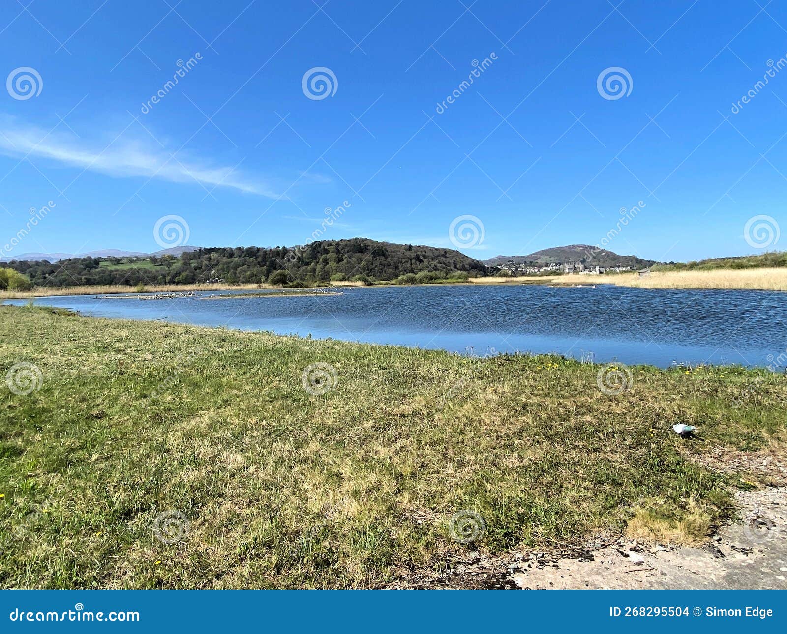 A View of RSPB Conwy Nature Reserve Stock Photo - Image of rspb ...