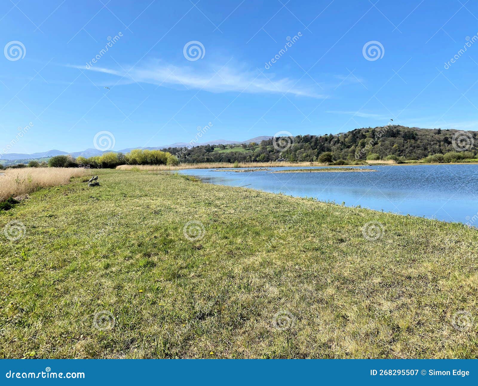 A View of RSPB Conwy Nature Reserve Stock Image - Image of view, rspb ...