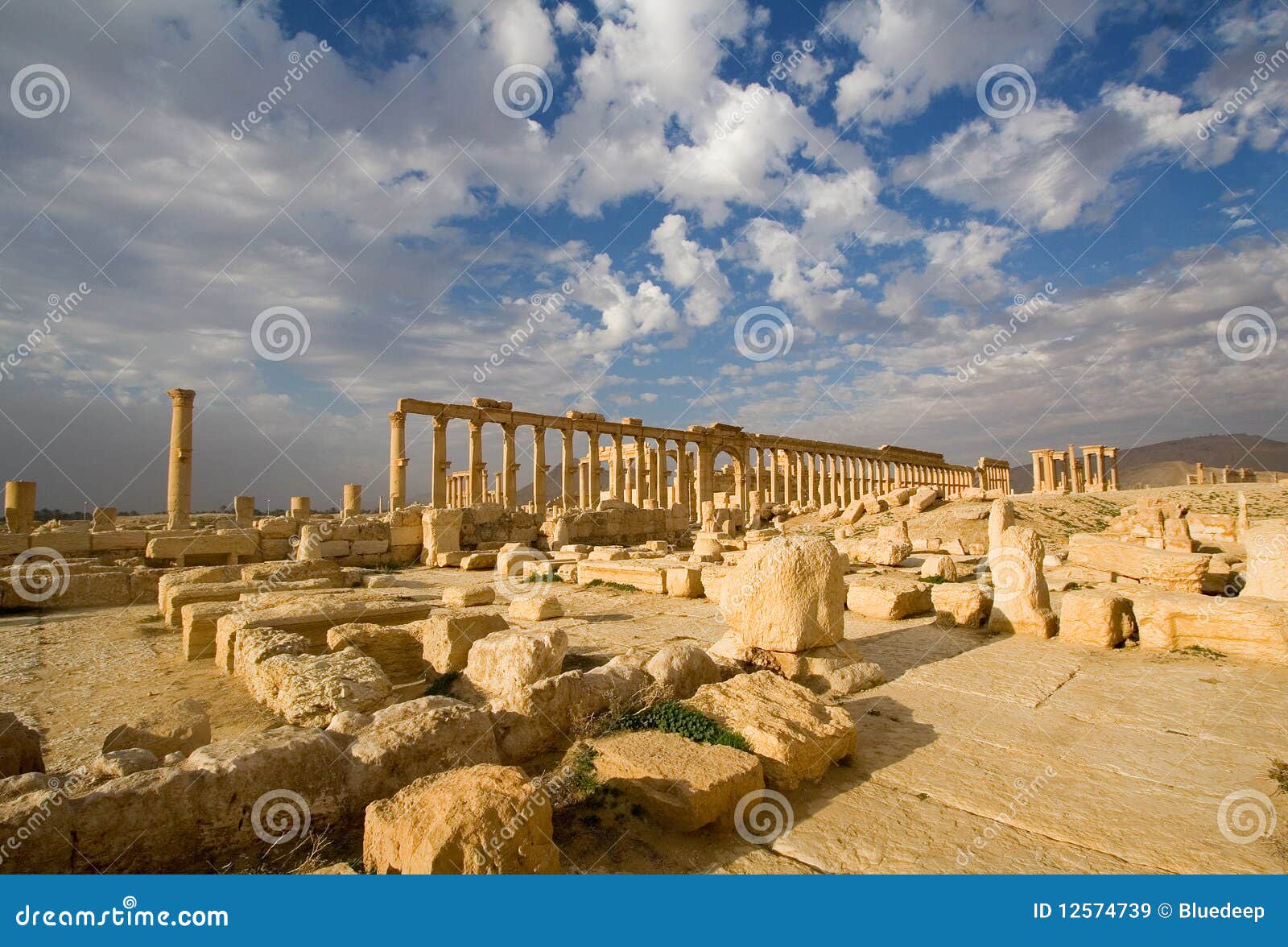 View of the Ruins of Palmyra Stock Image - Image of exterior, doric ...