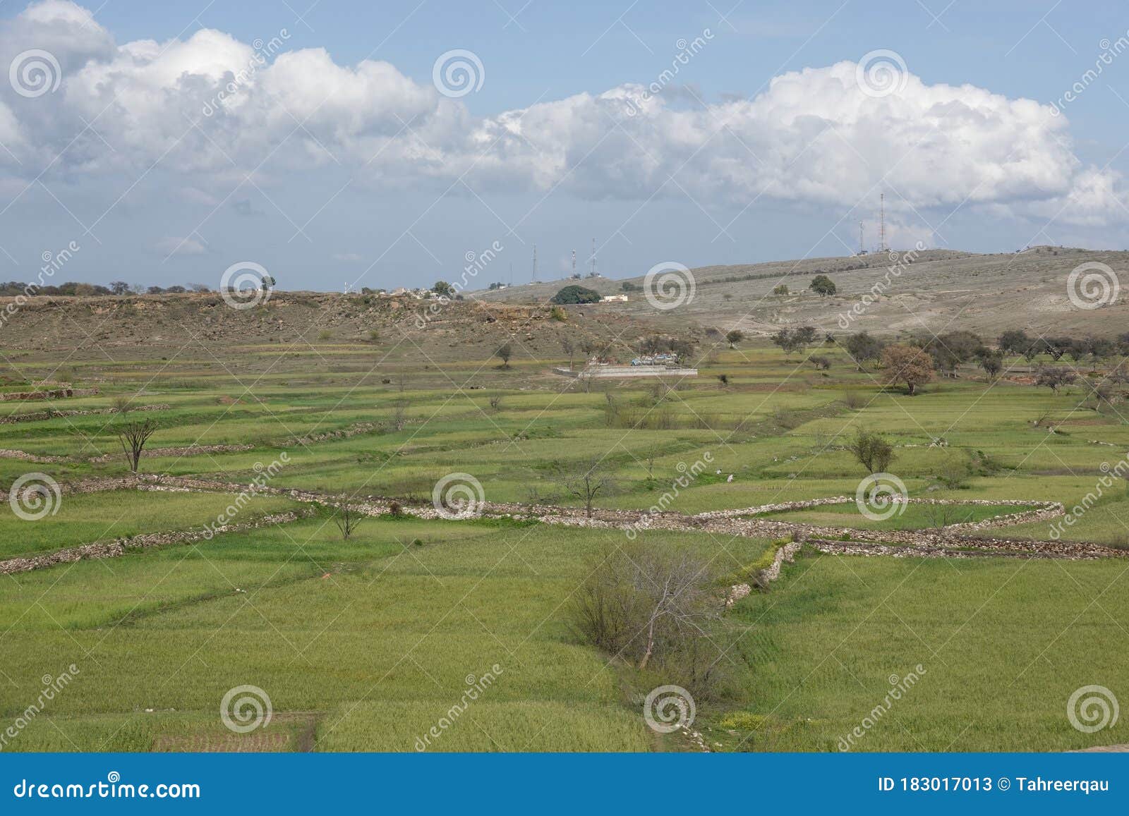 View of a Rural Road Crossing from the Fields Stock Image - Image of ...