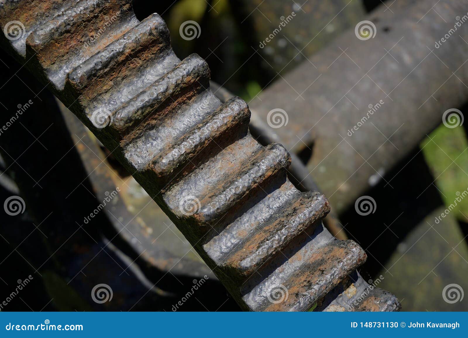 Rusty Old Drive Cog stock photo. Image of machinery - 148731130