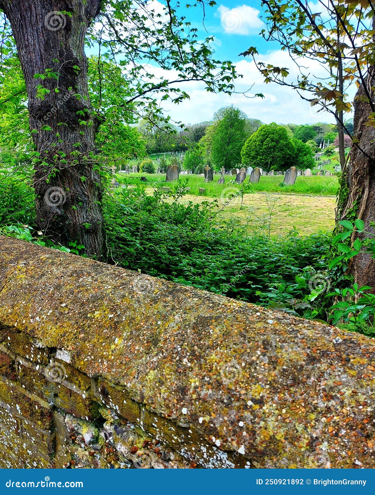 A Pretty Graveyard Seen between Trees. Stock Photo - Image of ...