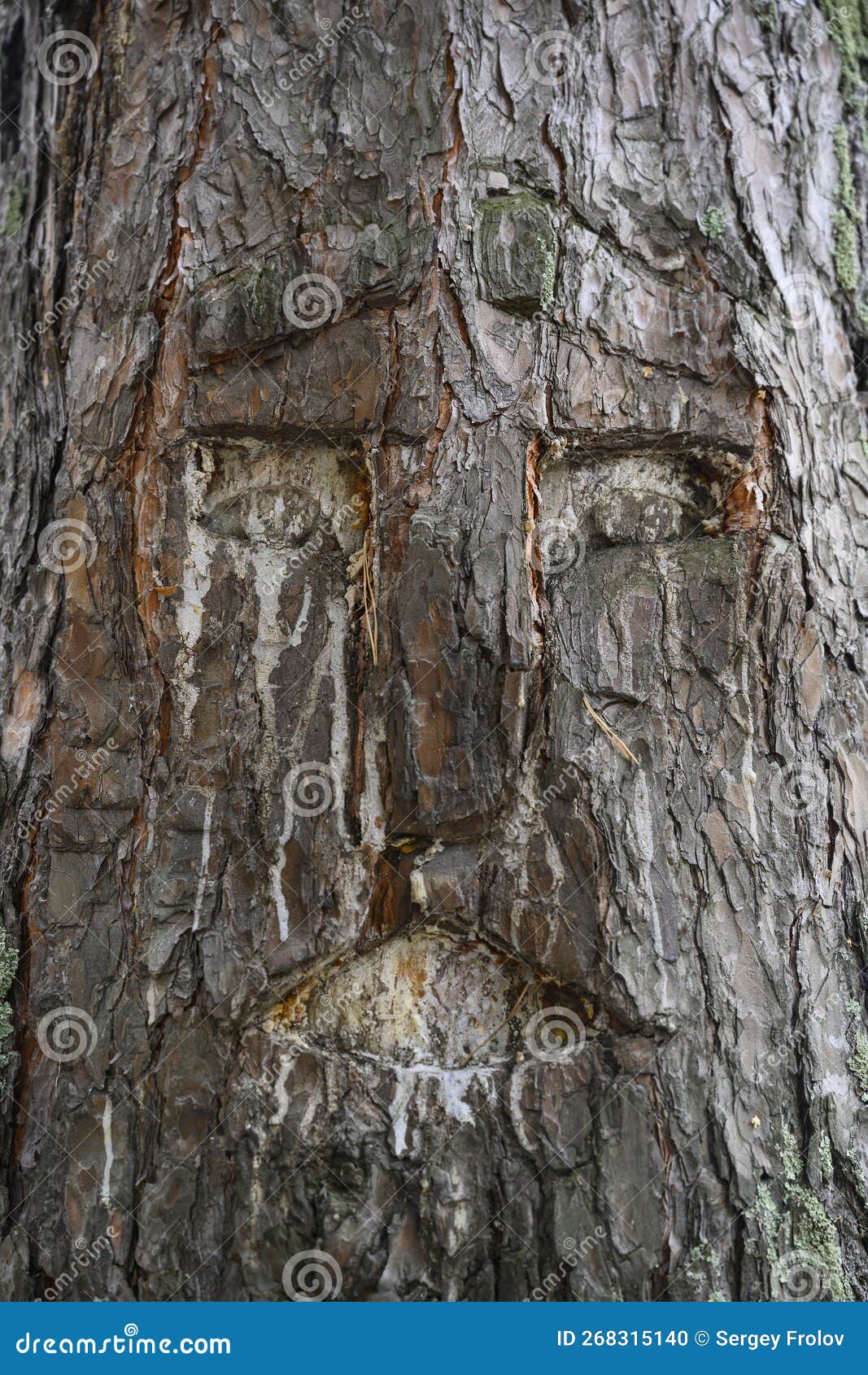 Sacret World Tree Known Also As Tree of Life, or Shamanic Tree, or Tree ...