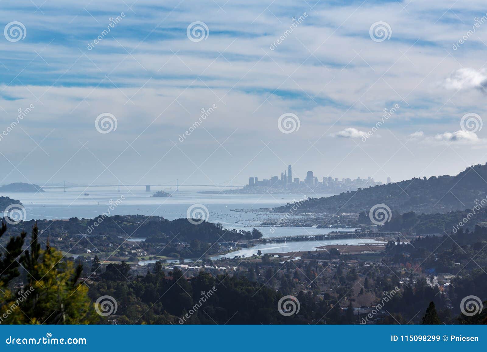 View of San Francisco from Marin Stock Image - Image of suburb, green ...