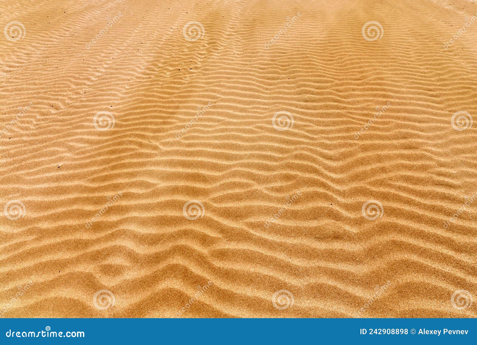 View of the Sand from the African Desert Stock Photo - Image of surface ...