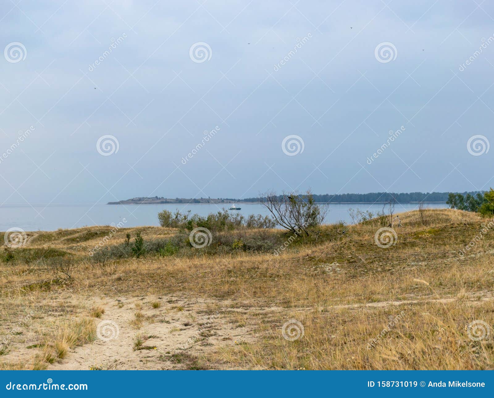 View of Sand Dune, Poor Plants, Dark Blue Sky Stock Image - Image of ...