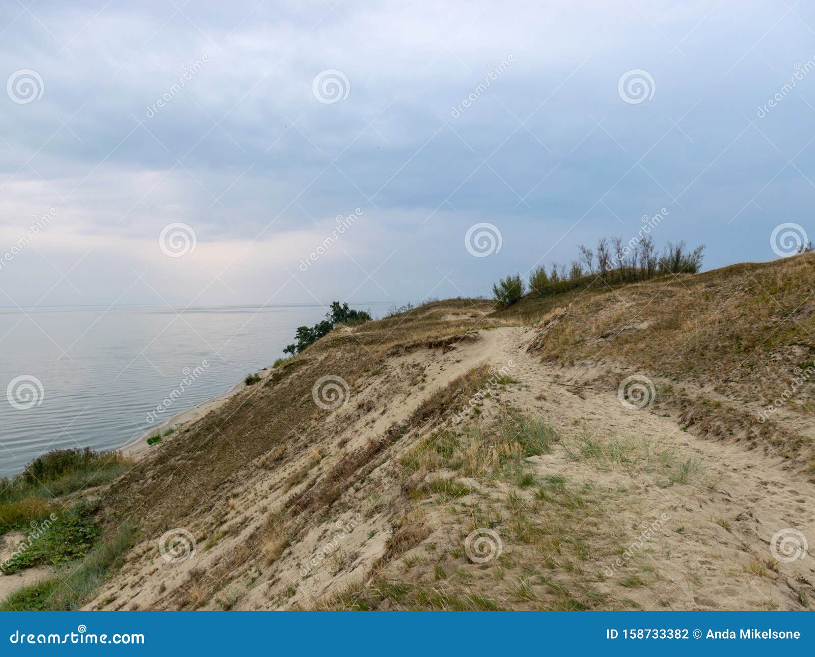 View of Sand Dune, Poor Plants, Dark Blue Sky Stock Photo - Image of ...