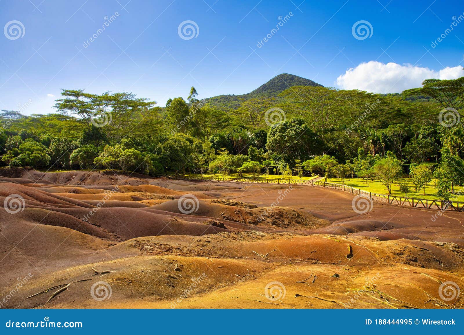 View of the Sand Dunes at Seven Colored Earth Surrounded with Trees in ...