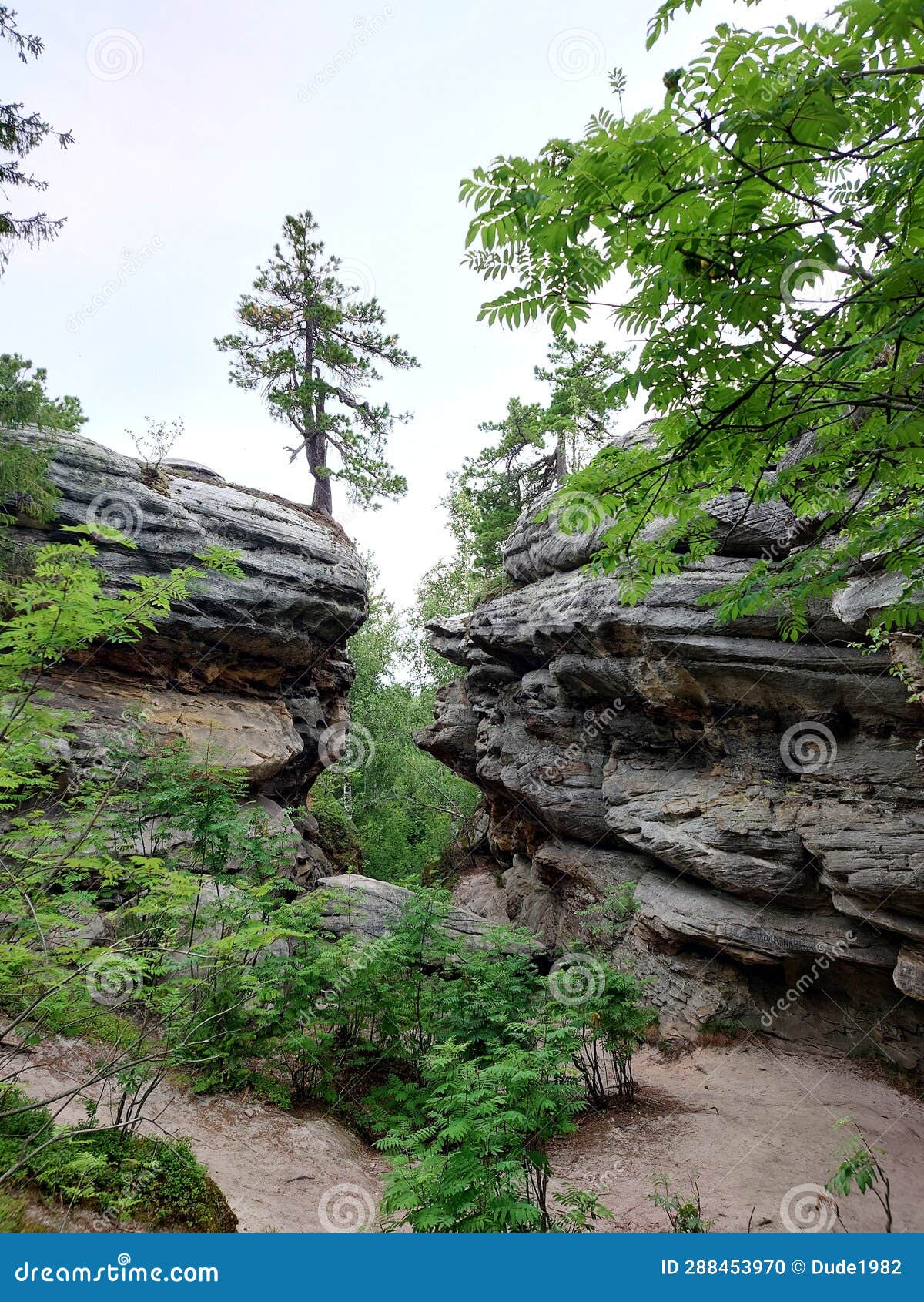 View of Sandstone Cliffs. Beautiful Summer Landscape Stock Photo ...