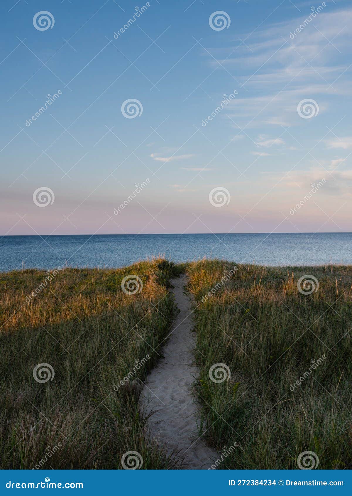 Summer Ocean Path through the Dunes of Cape Cod Stock Photo - Image of ...