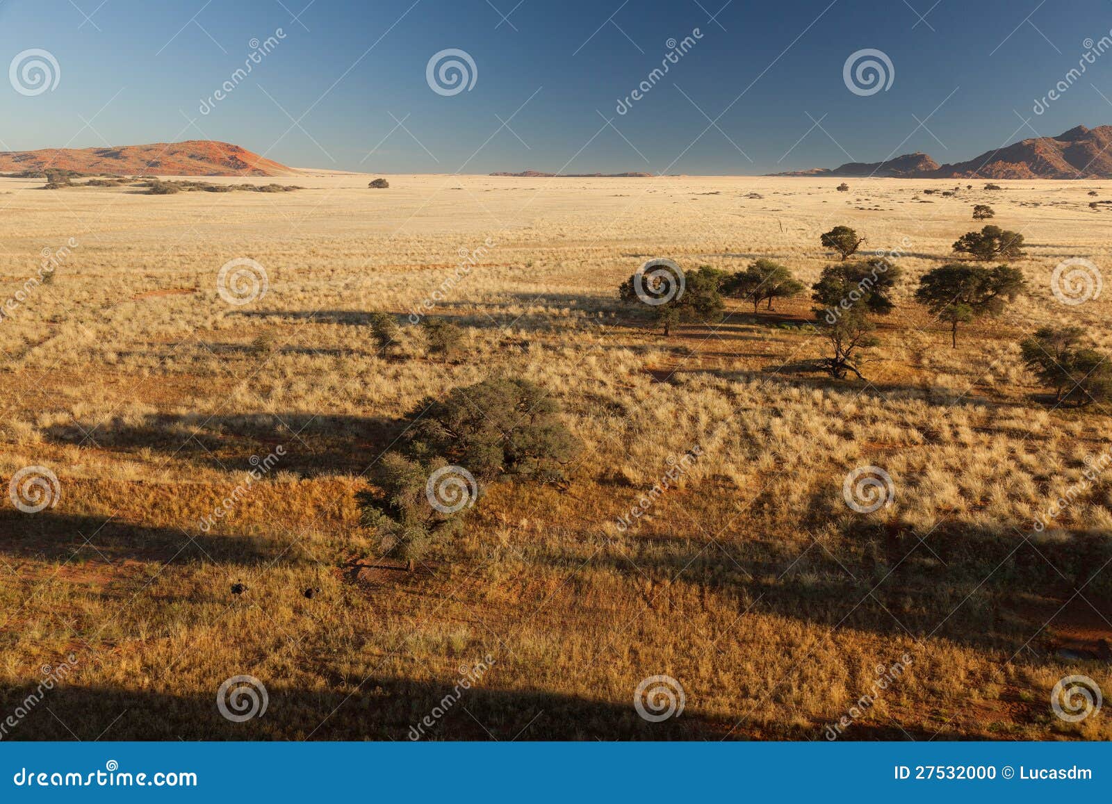 View of the Savanna. Africa. Namibia. Stock Photo - Image of sunset ...