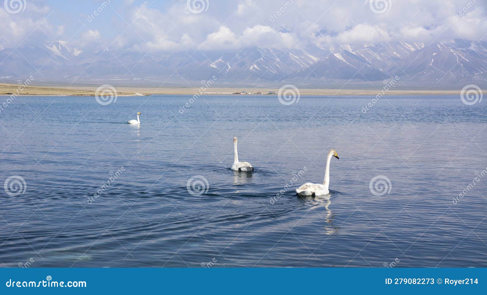 View of Sayram Lake stock image. Image of mountain, xinjiang - 279082273