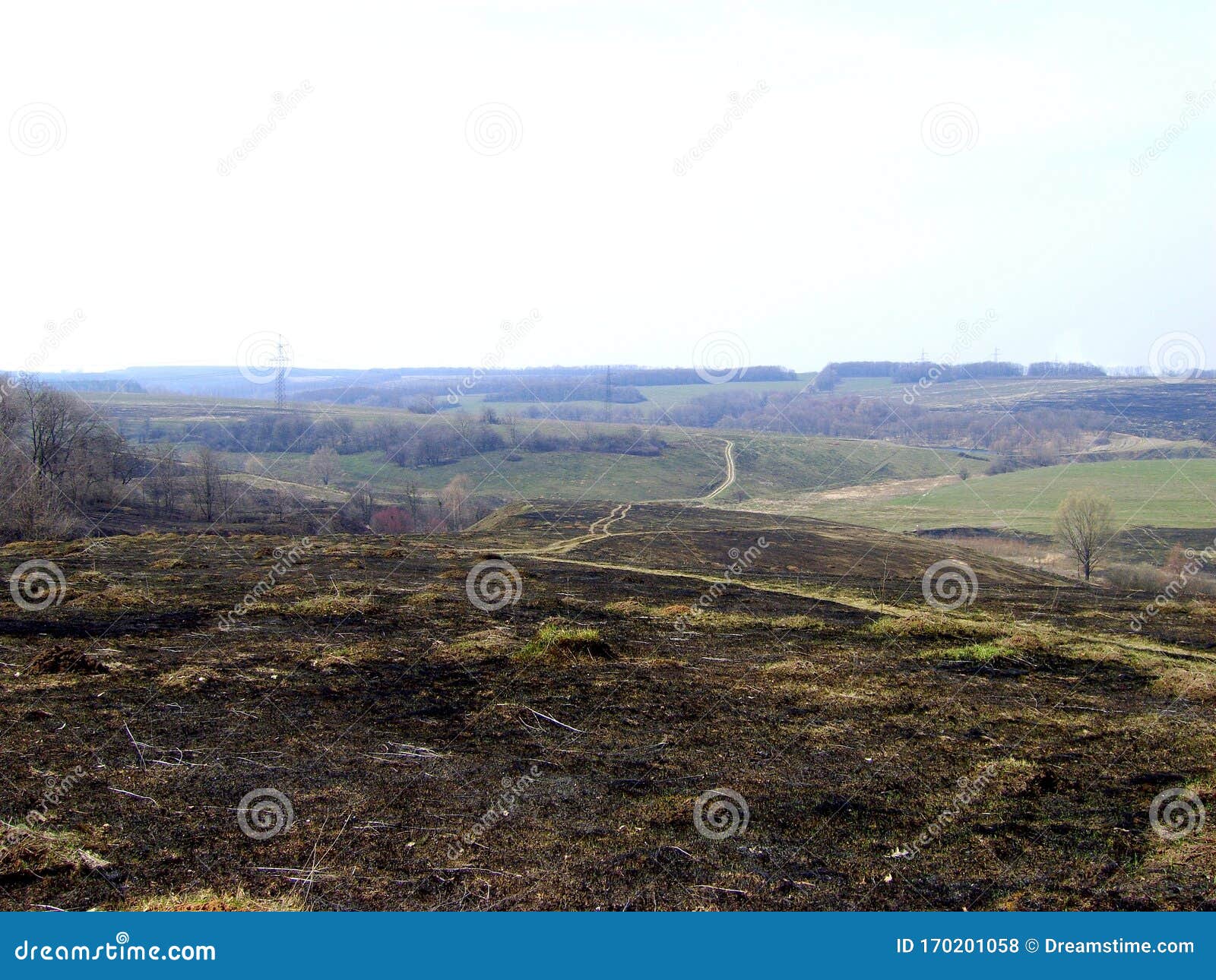 View of Scorched Grass on a Field in Early Spring on the Background of ...
