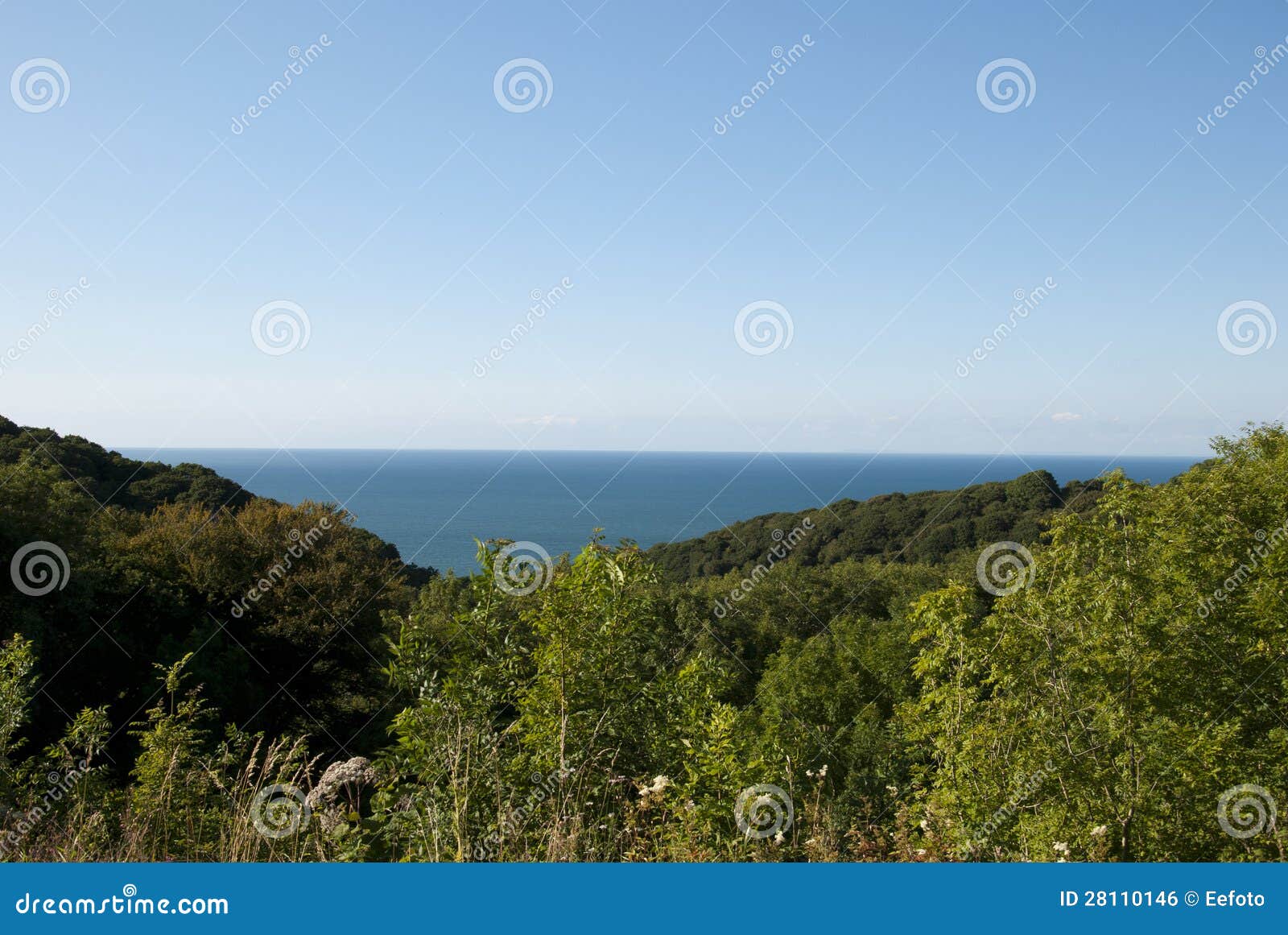 View at sea stock photo. Image of green, coast, outdoors - 28110146