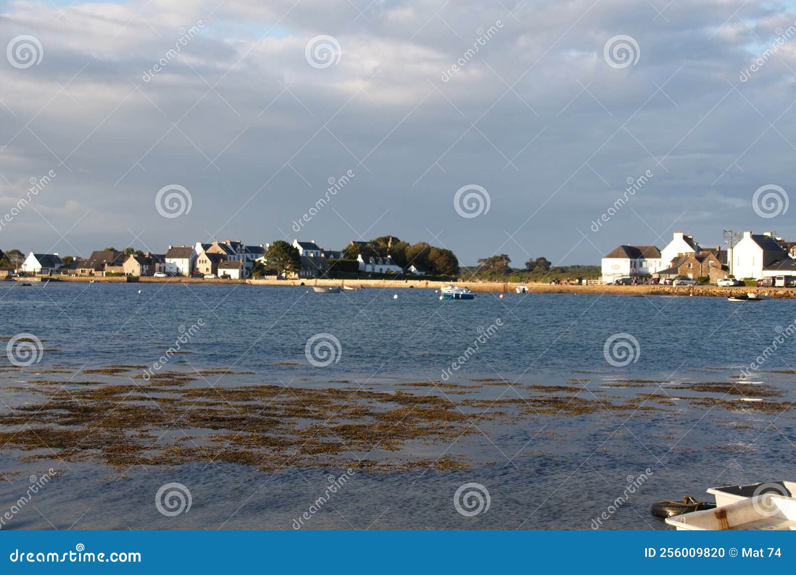 View of the sea and beach stock photo. Image of beautiful - 256009820