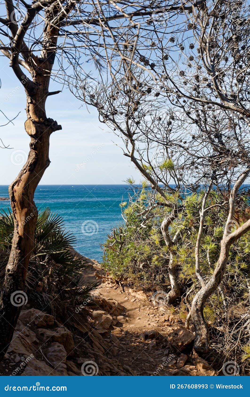 View of the Sea and the Coastal Cliff Stock Image - Image of rocky ...