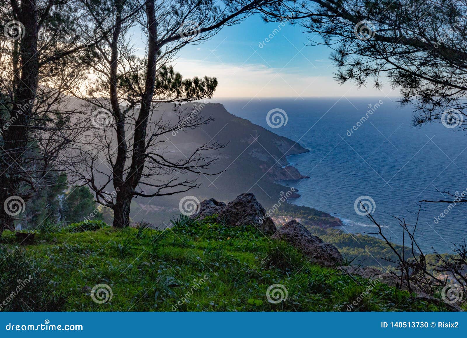View of the Sea from the Forest Stock Photo - Image of twilight ...