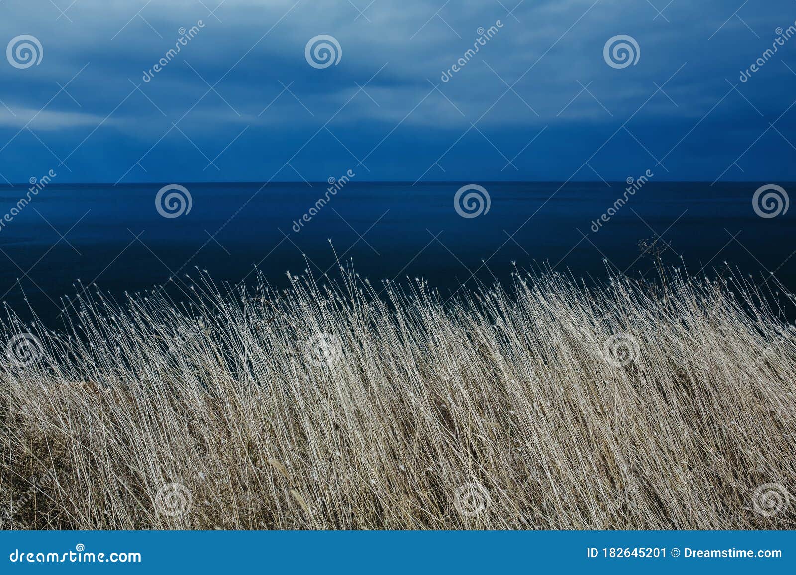 View of the Sea from the Ground Stock Image - Image of river, textured ...