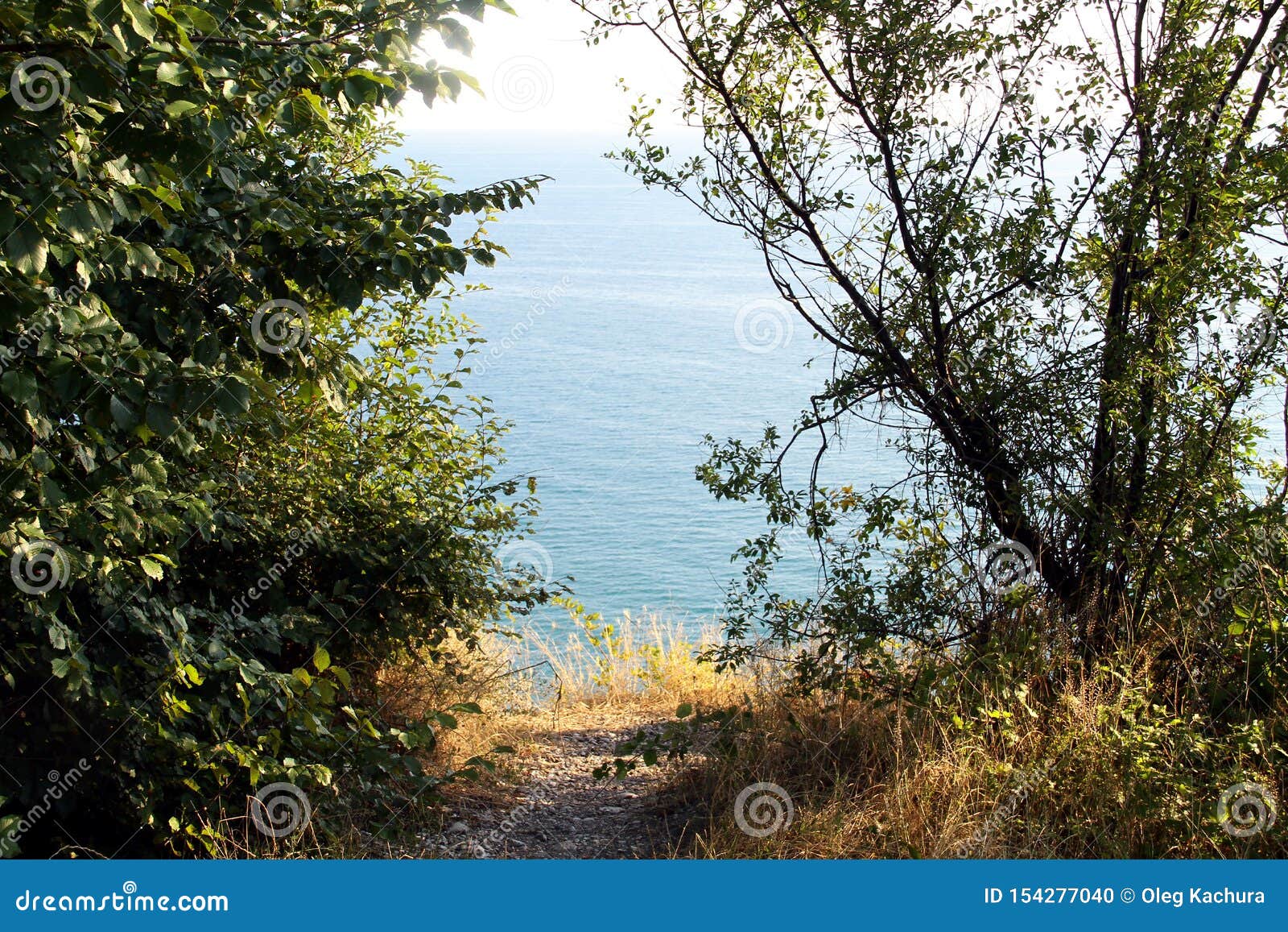 View of the Sea from the High Bank, through the Branches of Trees Stock ...