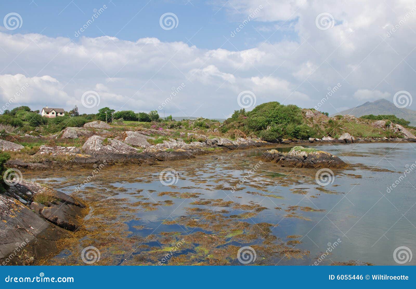 View on sea and land stock photo. Image of home, house - 6055446