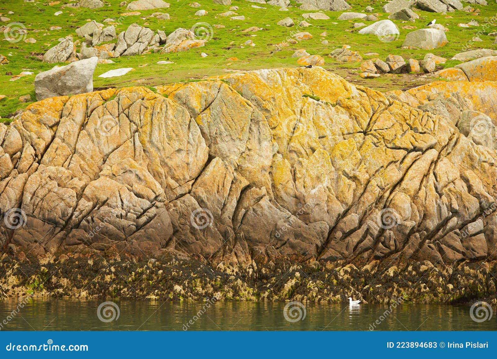 View from the Sea To the Greeny Cliffs with Exotic Trees, Moss and Blue ...
