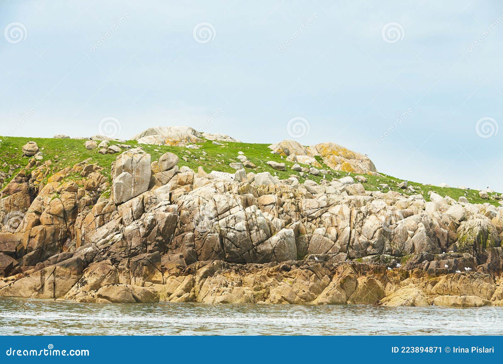 View from the Sea To the Greeny Cliffs with Exotic Trees, Moss and Blue ...