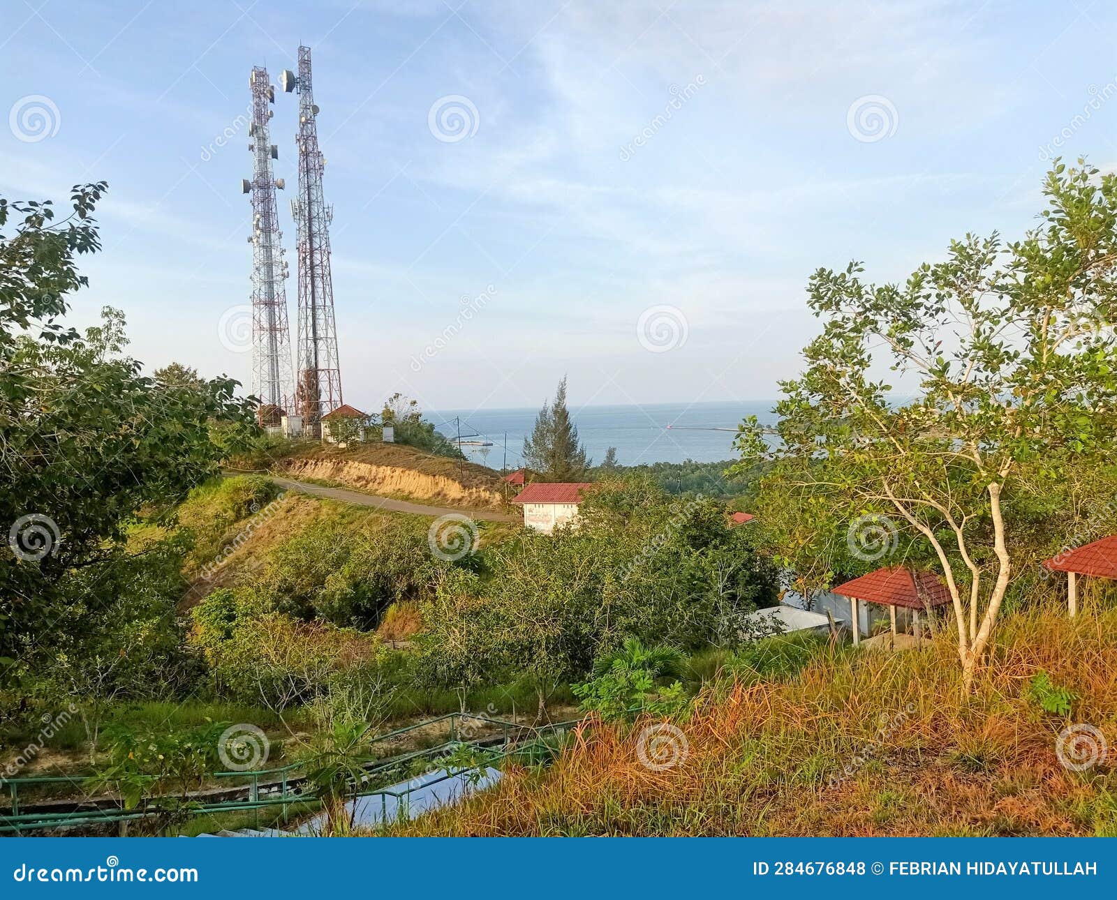 Japanese Cave Gecko Goniurosaurus Orientalis Stock Photo ...