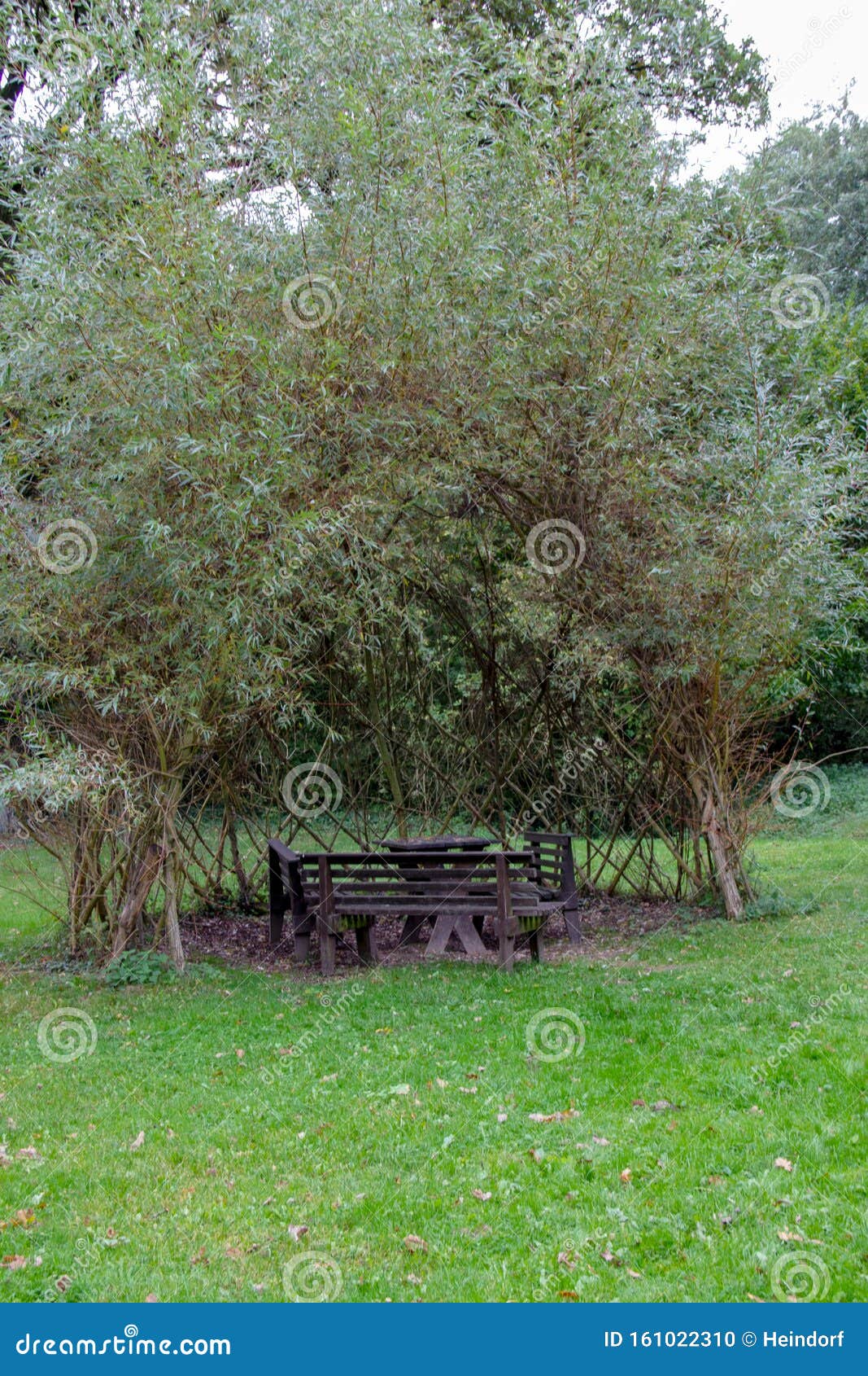 A Seating Group Under a Tree Group Stock Photo - Image of group, nature ...