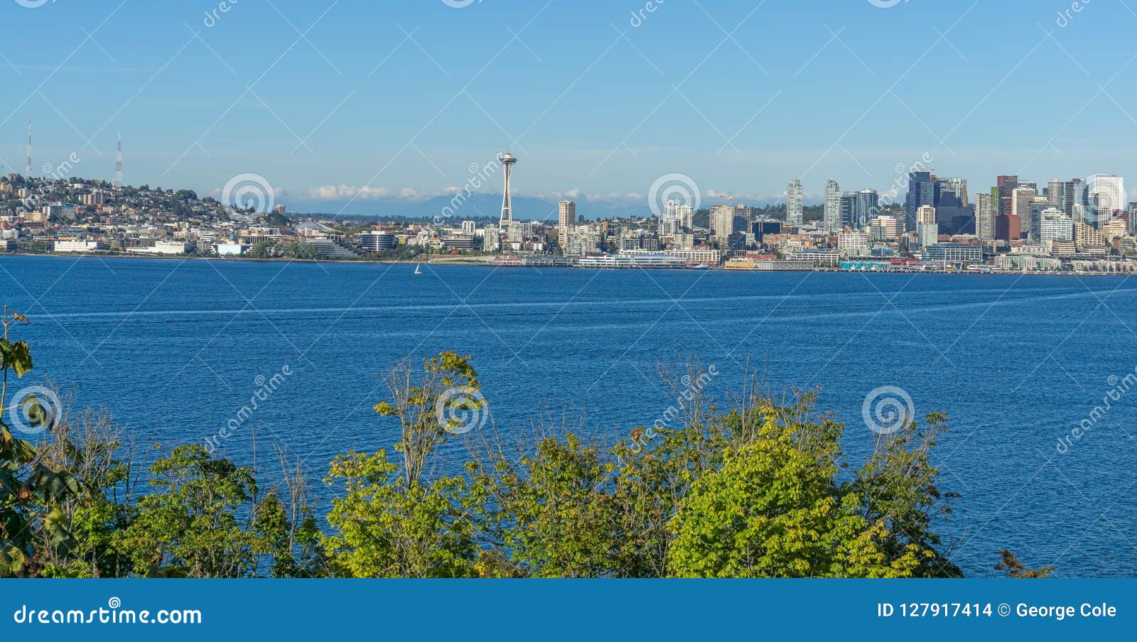Seattle Urban Landscape 3 stock photo. Image of trees - 127917414