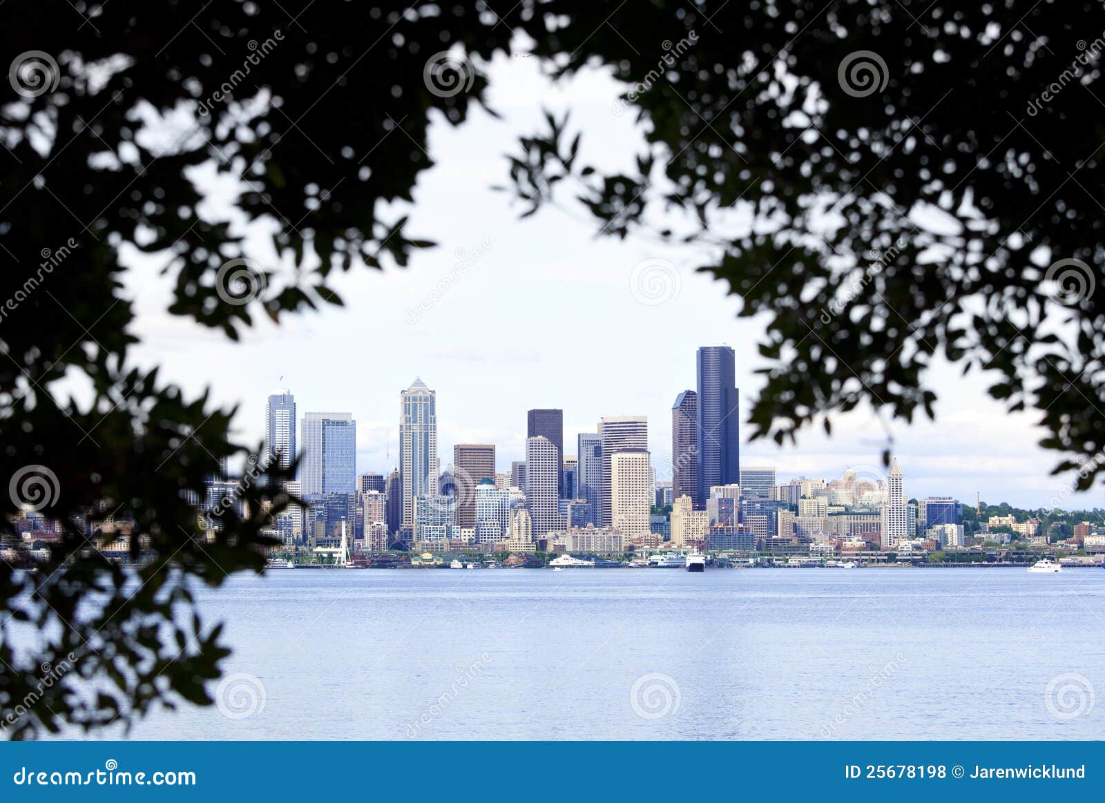 View of Seattle Skyline through Trees Stock Photo - Image of puget ...
