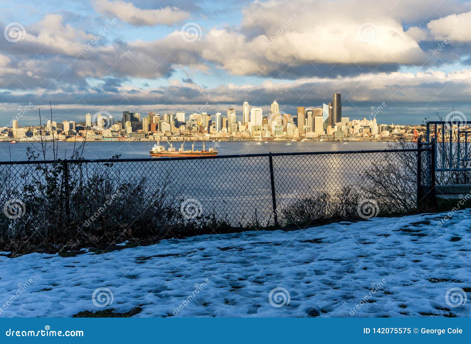 Winter Seattle Skyline 2 stock image. Image of buildings - 142075575