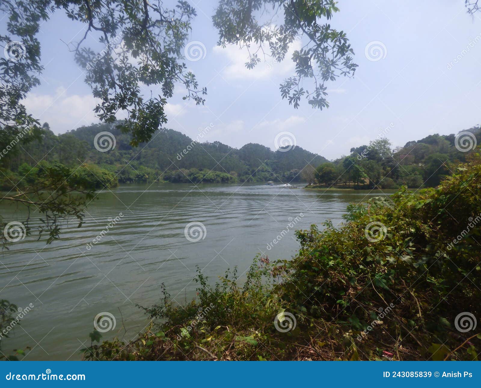A View from Sengulam Dam in Idukki Kerala India Stock Image - Image of ...