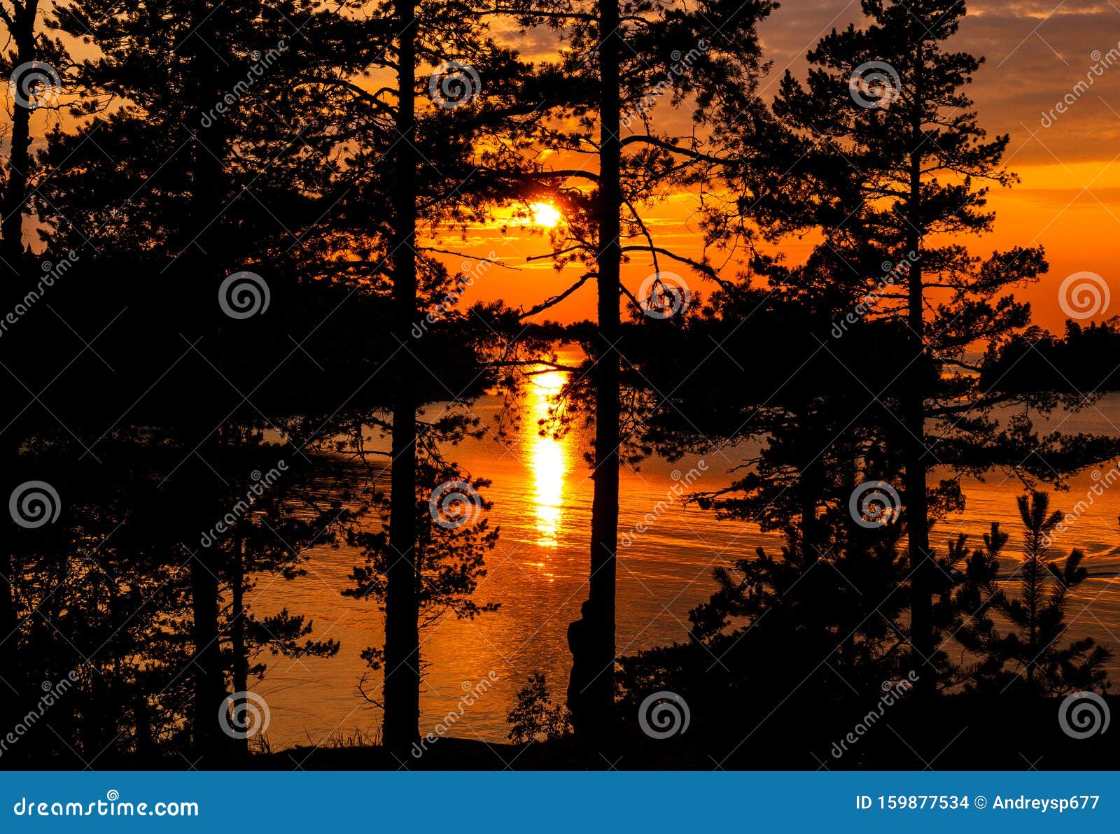 Sunset on the Lake. Sunset View through the Trees Stock Photo - Image ...