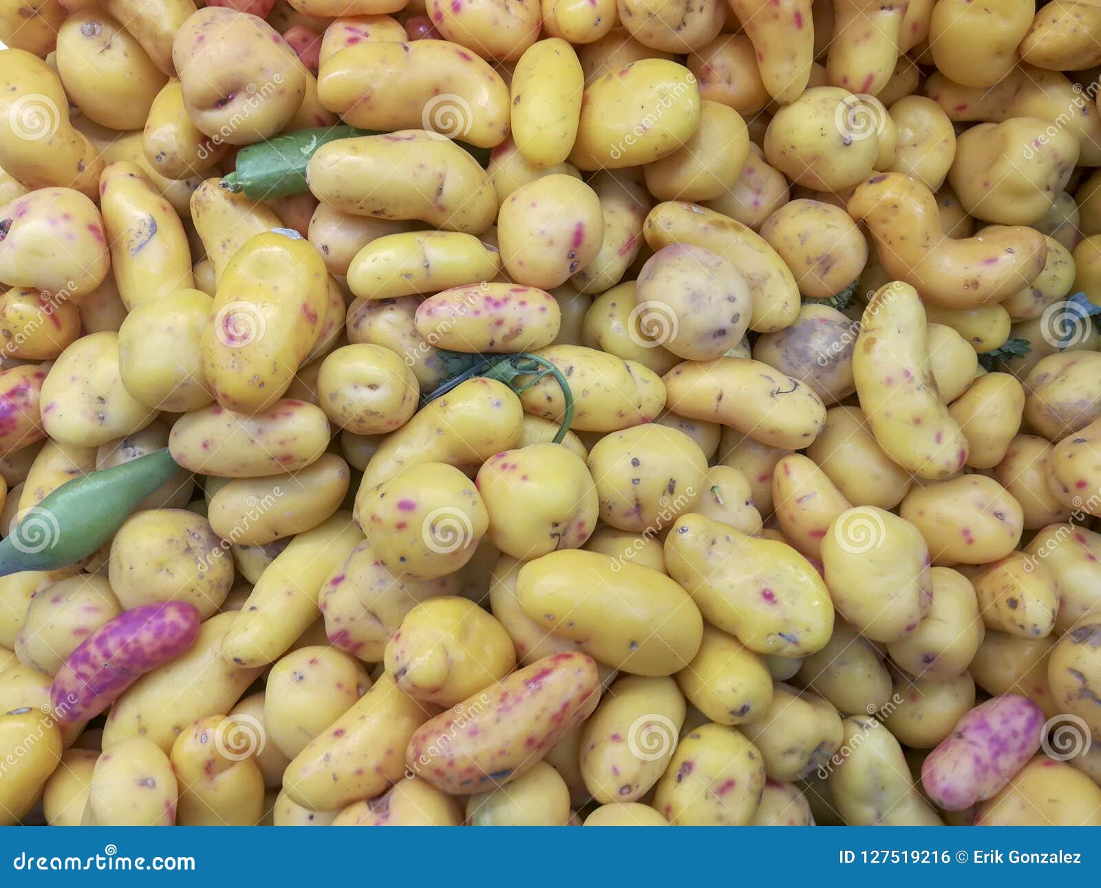 Ulluco Stock Photos - Free & Royalty-Free Stock Photos from Dreamstime