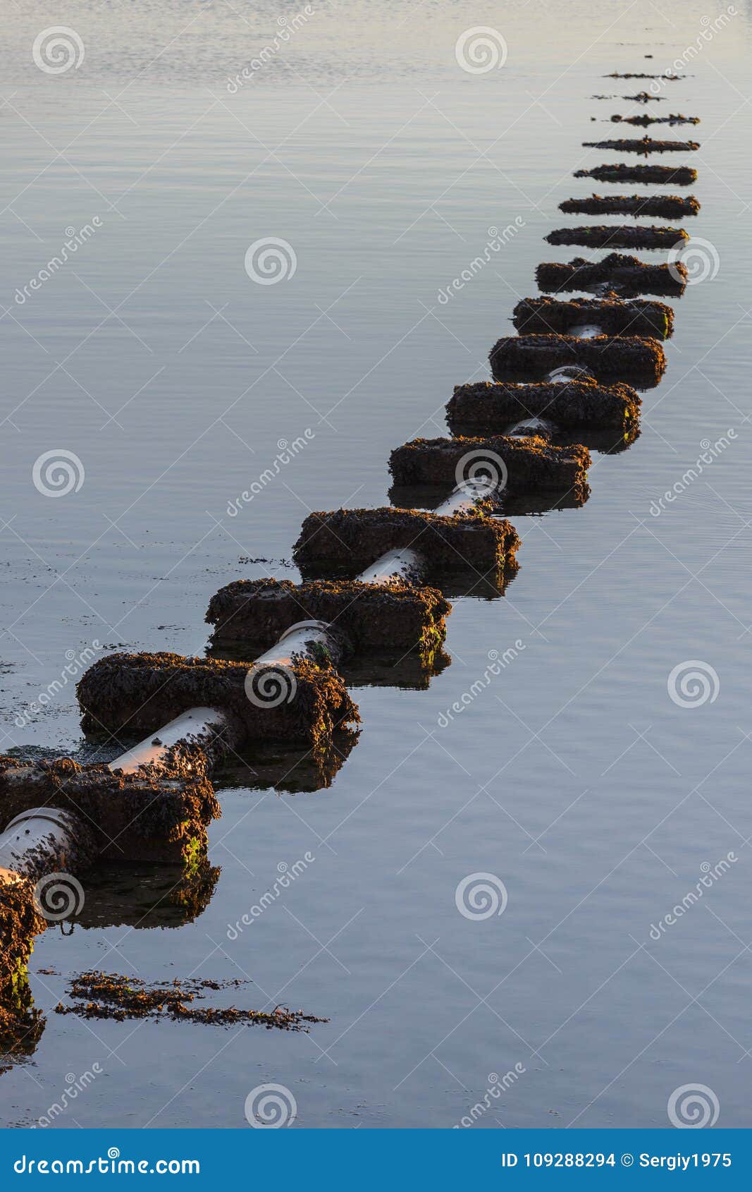 Sewer Coming Out in the Sea Stock Photo - Image of heavy, dirt: 109288294