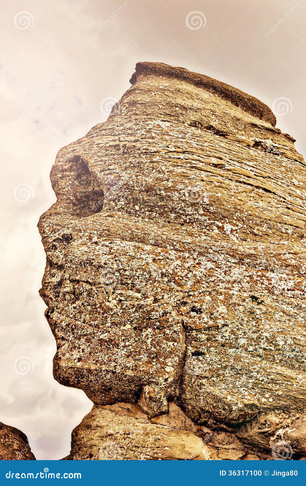 Face With The Romania Flag Stock Photography | CartoonDealer.com #35051408