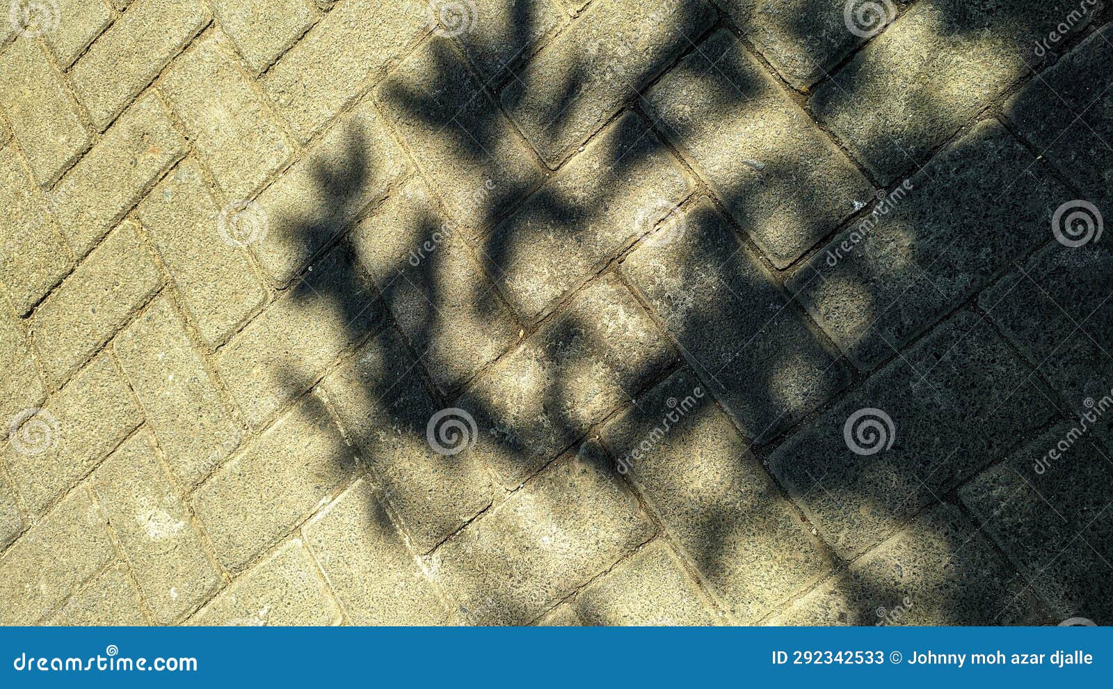 View of Shadow on the Ground Stock Image - Image of black, wall: 292342533