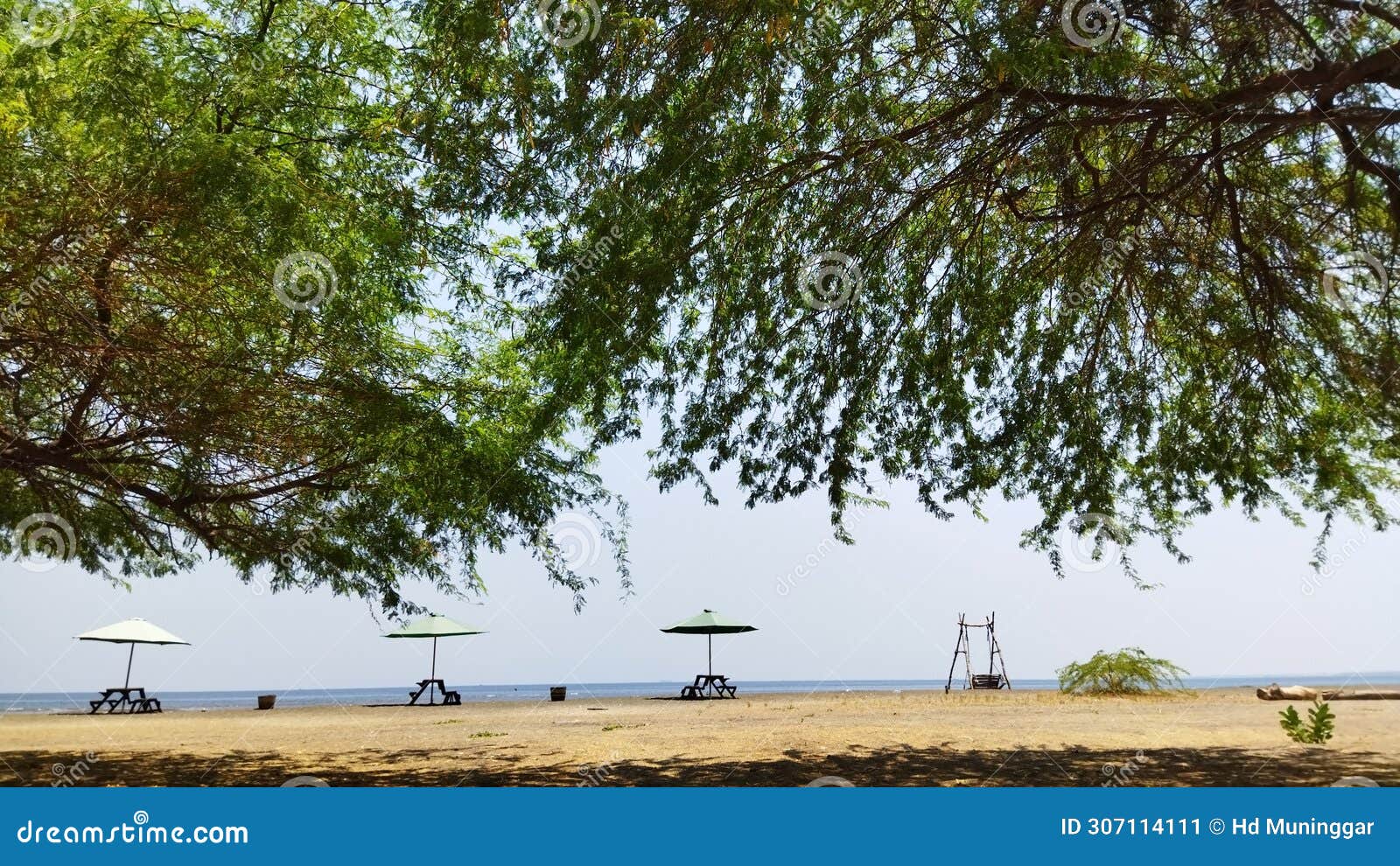 View on the shady beach stock image. Image of branch - 307114111
