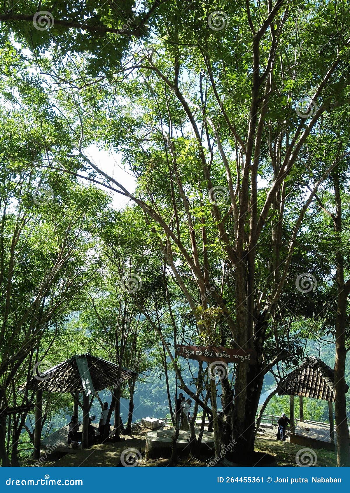The View of Shady Trees and Some People Sitting in Huts Stock Image ...