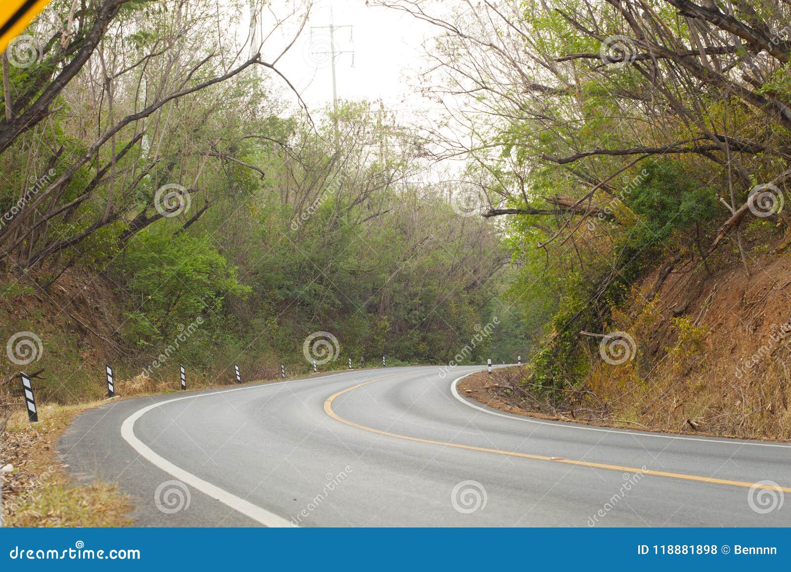 Sharp Curve Road in Forest Hill Stock Photo - Image of line, curve ...