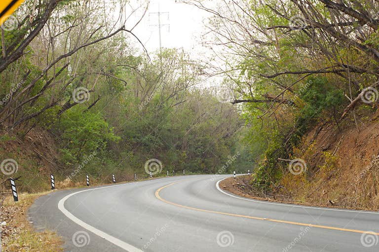 Sharp Curve Road in Forest Hill Stock Photo - Image of line, curve ...