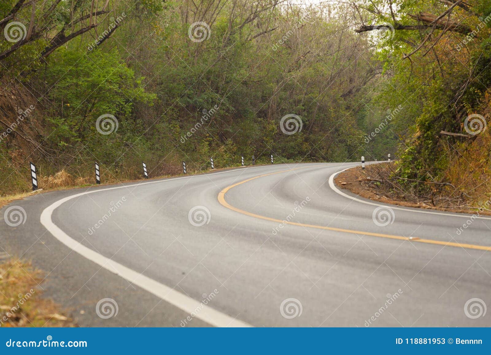 Sharp Curve Road in Forest Hill Stock Image - Image of perspective ...