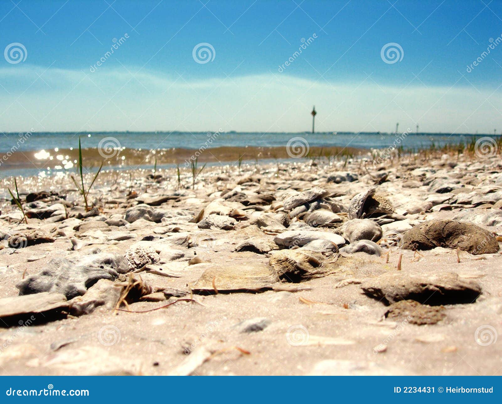 View from Shell Point stock image. Image of scenic, clouds - 2234431