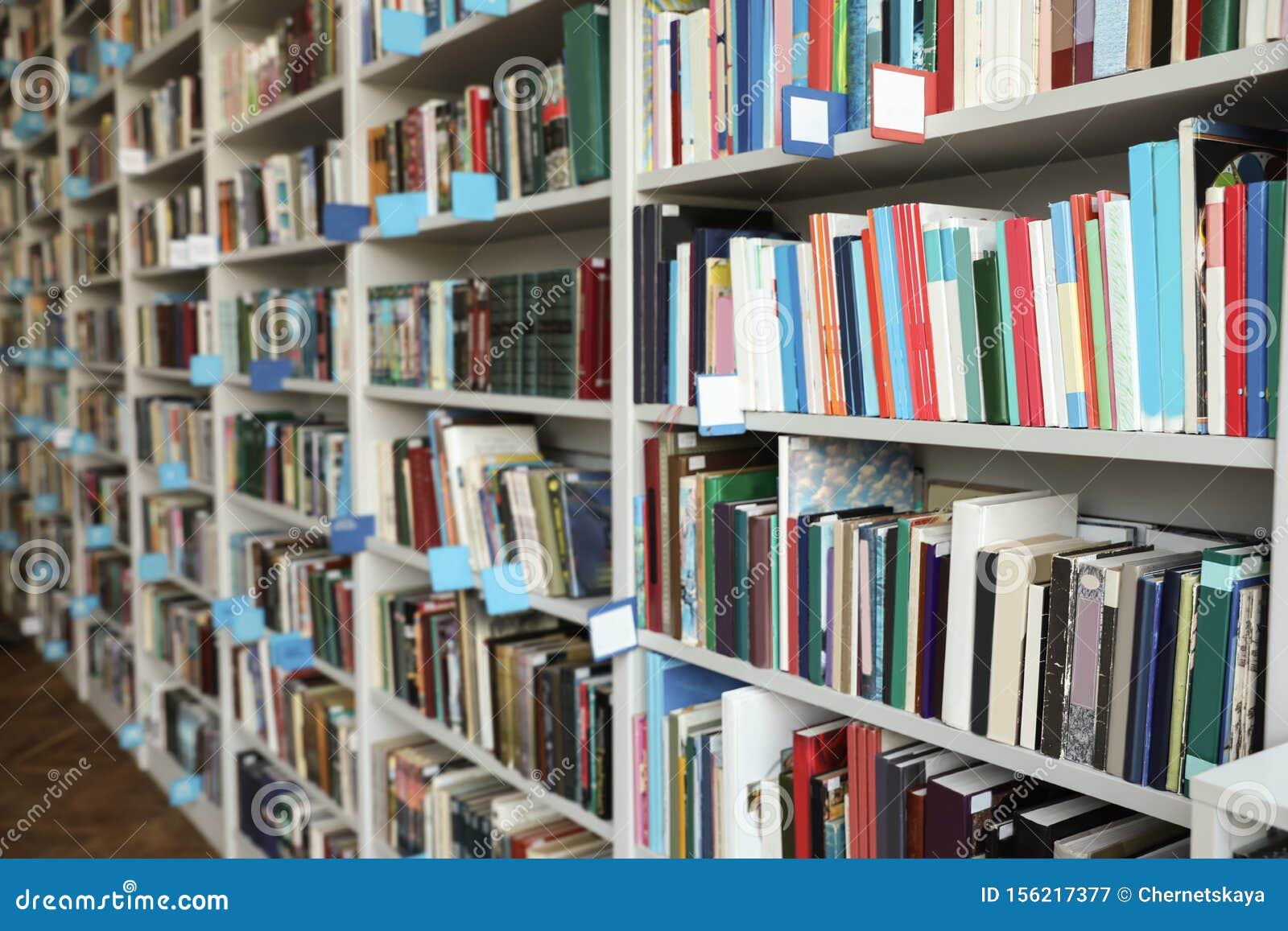 View of Shelves with Books in Stock Image - Image of collection ...
