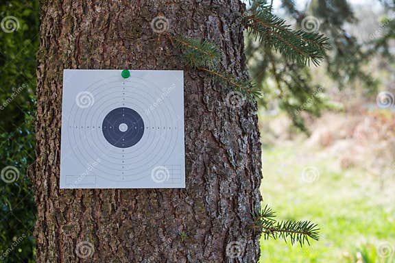 Shield Shotgun Attached To a Tree Stock Image - Image of shield ...