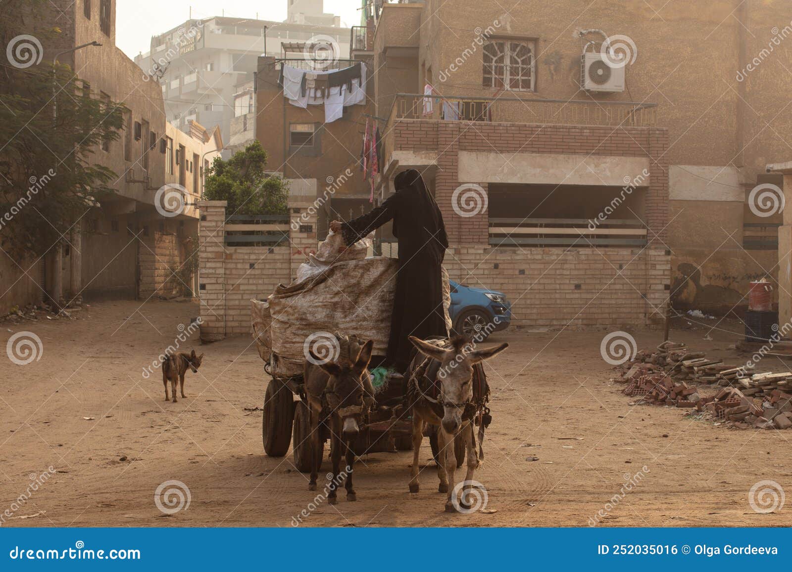 View from the Side of the Slums of the Egyptian Pyramids in Giza ...
