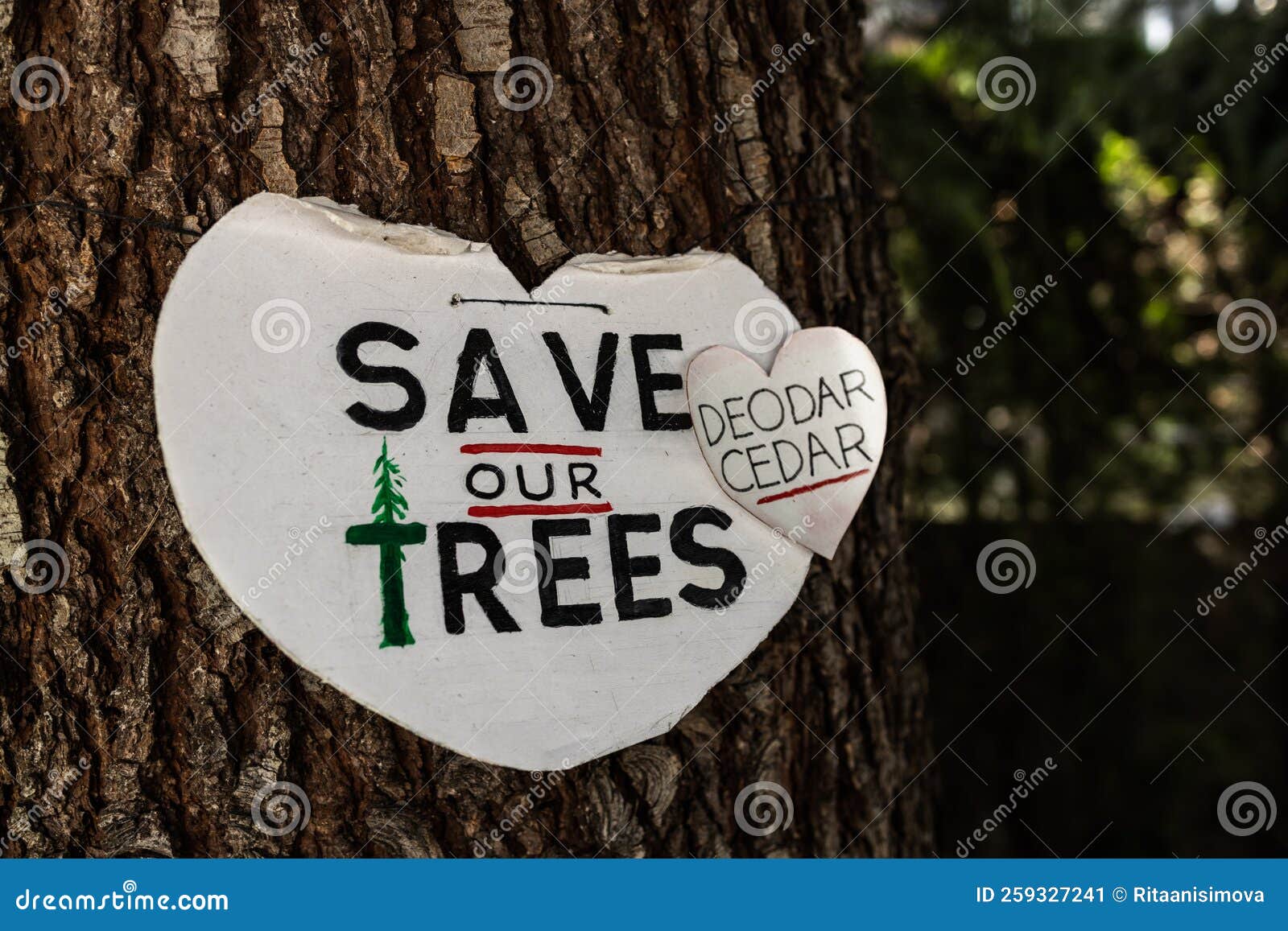 Save Our Trees stock image. Image of shape, care, columbia - 259327241