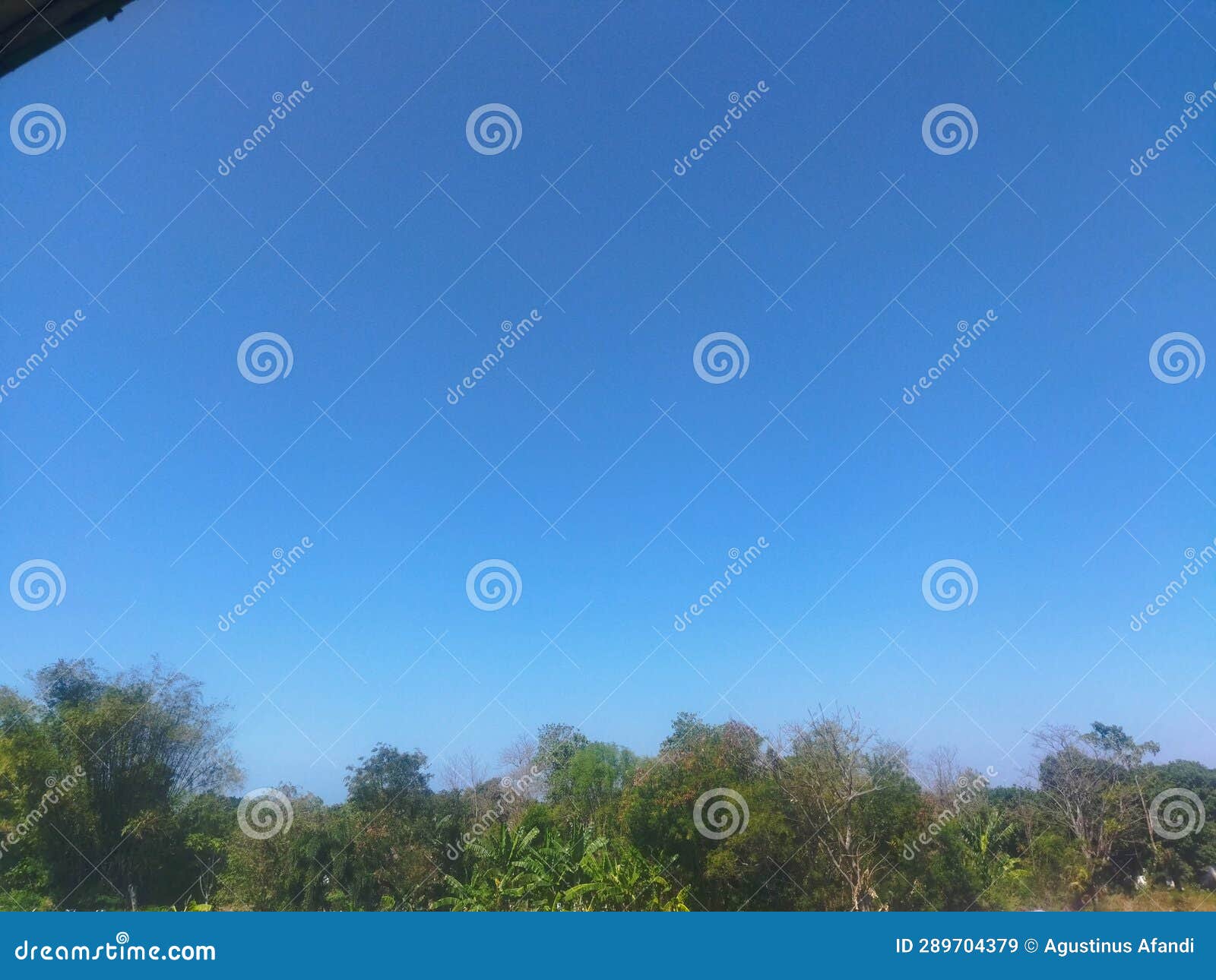 The View of the Sky Behind My School Stock Image - Image of school ...