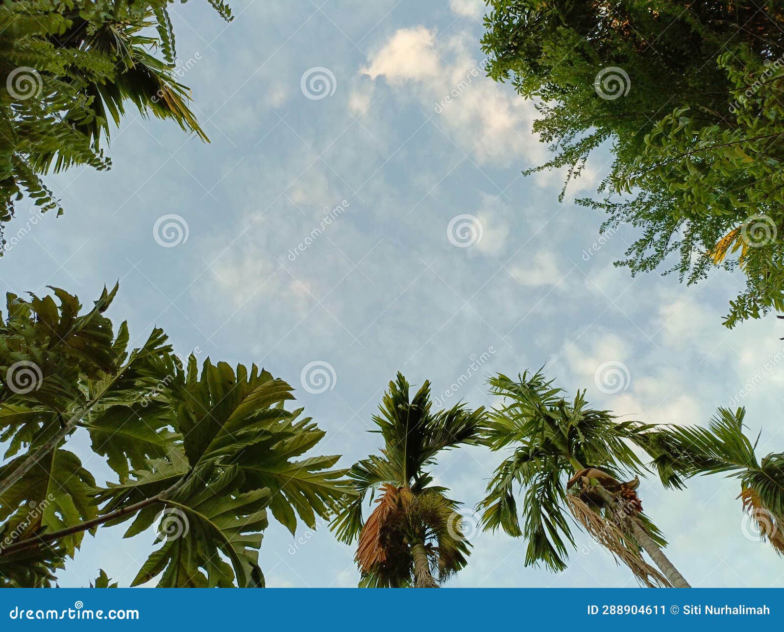 View of the Sky with a Blue Sky Background Taken from the Bottom Angle ...