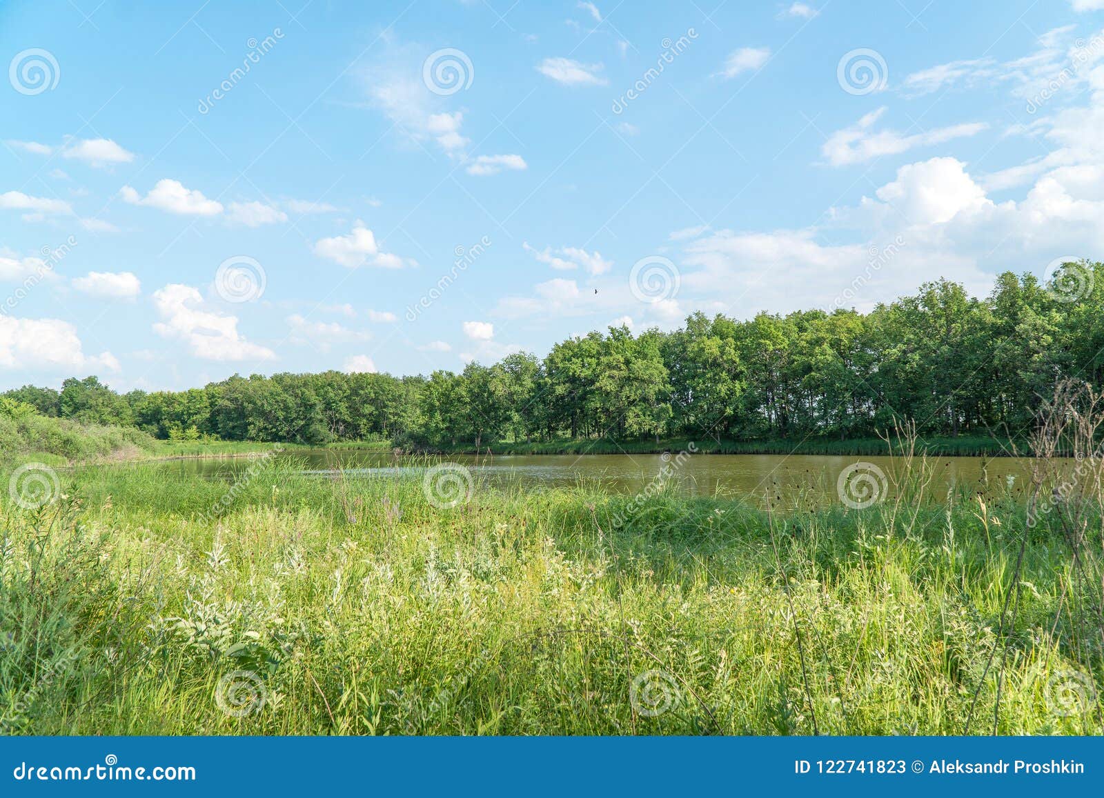 View of a Small Forest Lake Stock Image - Image of nature, blue: 122741823